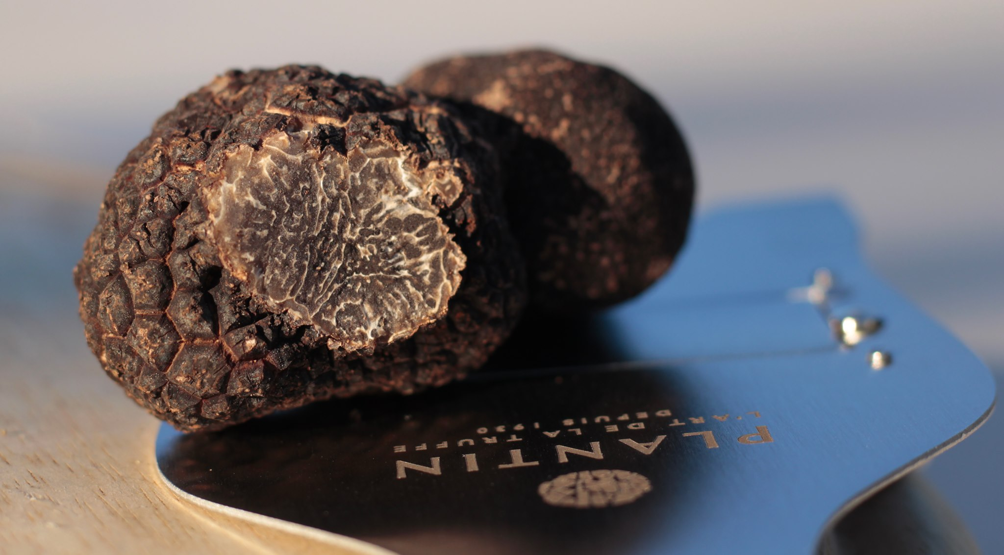 Maison Plantin : l'art de la truffe