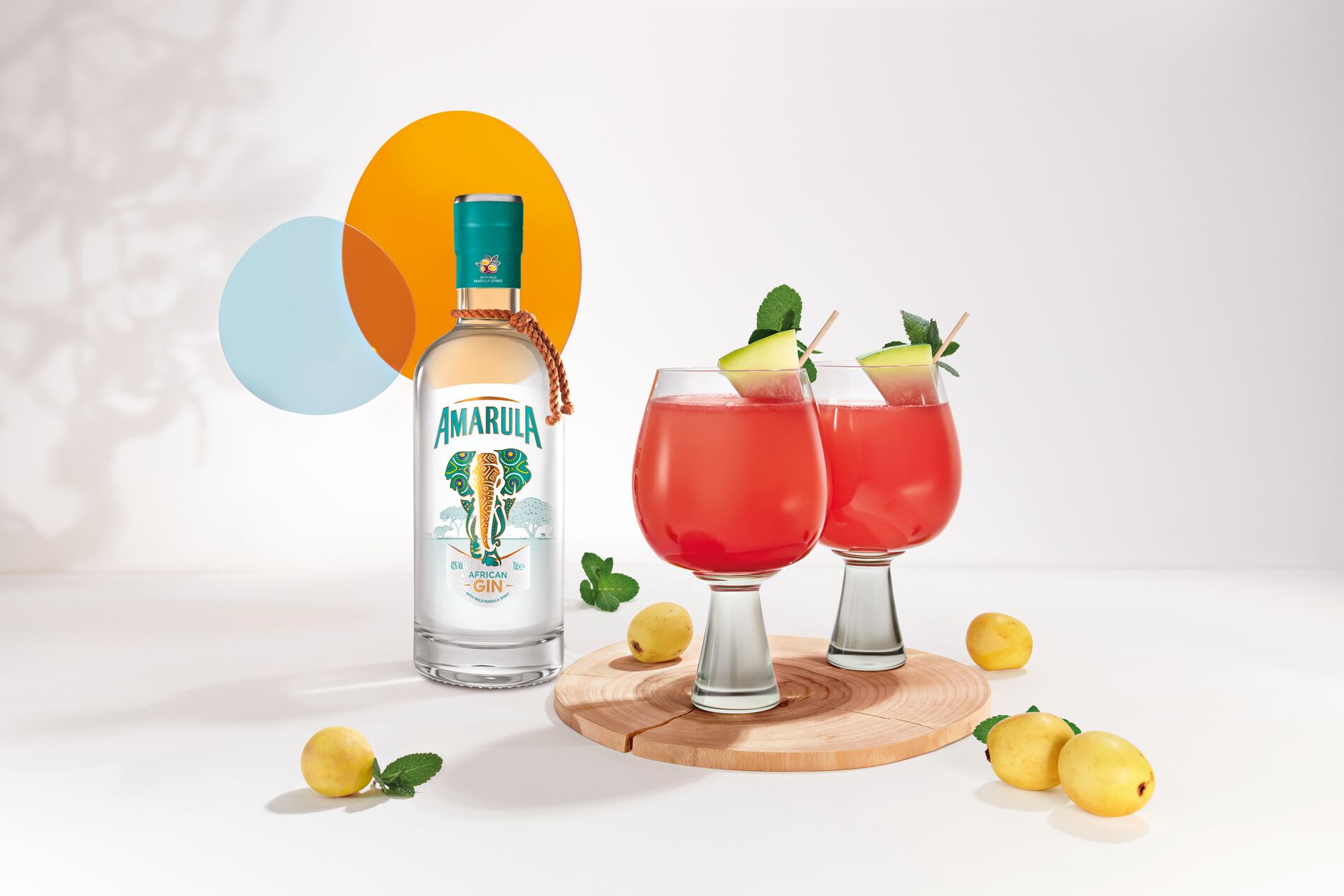 Amarula African Gin et Tobermory, deux marques de Gin à découvrir